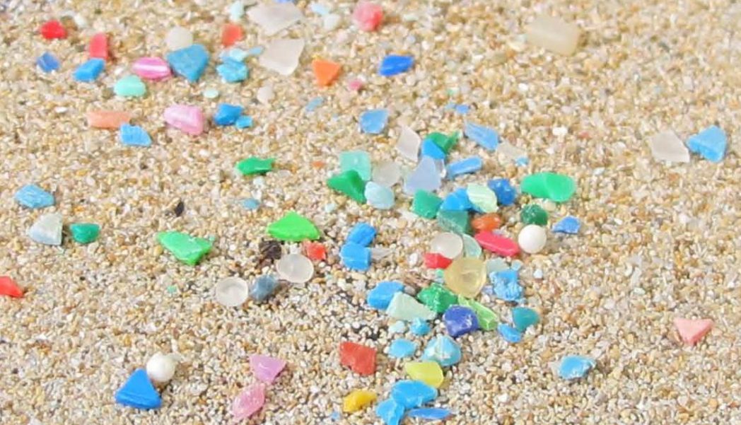 Microplástico, a poluição invisível - iGUi Ecologia