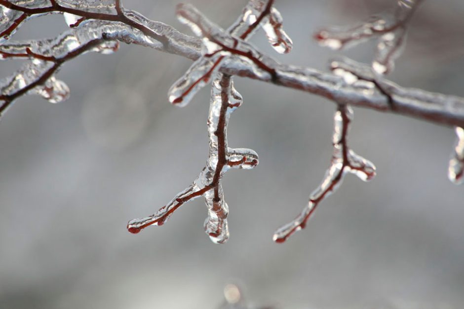 21 de Junho - Início do Inverno - iGUi Ecologia