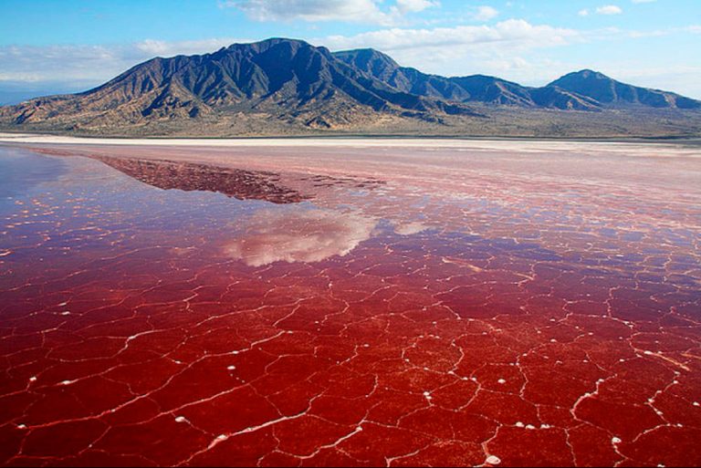 lago-Natron - iGUi Ecologia