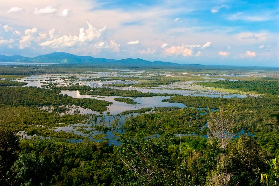 Áreas de Turfa - iGUi Ecologia